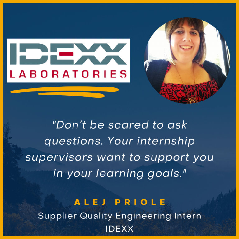 Career Exploration Internship Program – Career & Employment Hub