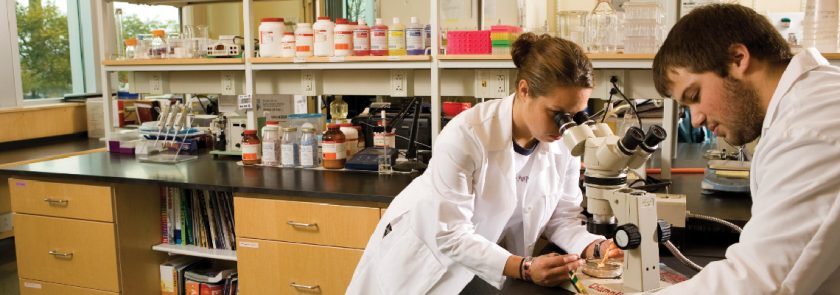 Department of Biological Sciences