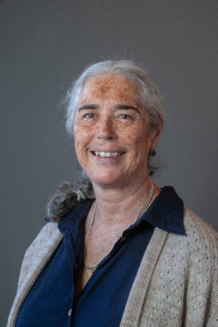 Catherine Lyden PhD, FNP-C, MSN-Ed, CNE – Directories