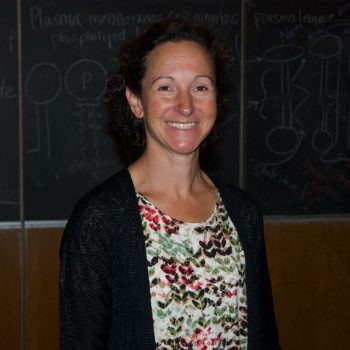 Rachel Simons, PhD – Directories