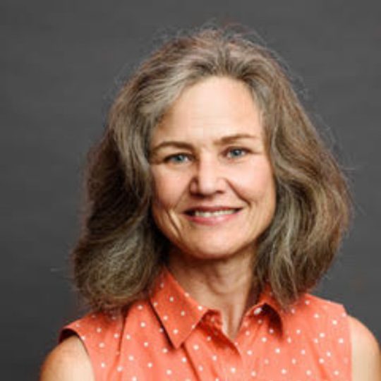 L. Susan Yetter PhD, APRN, PMH-NP, CNE – Directories