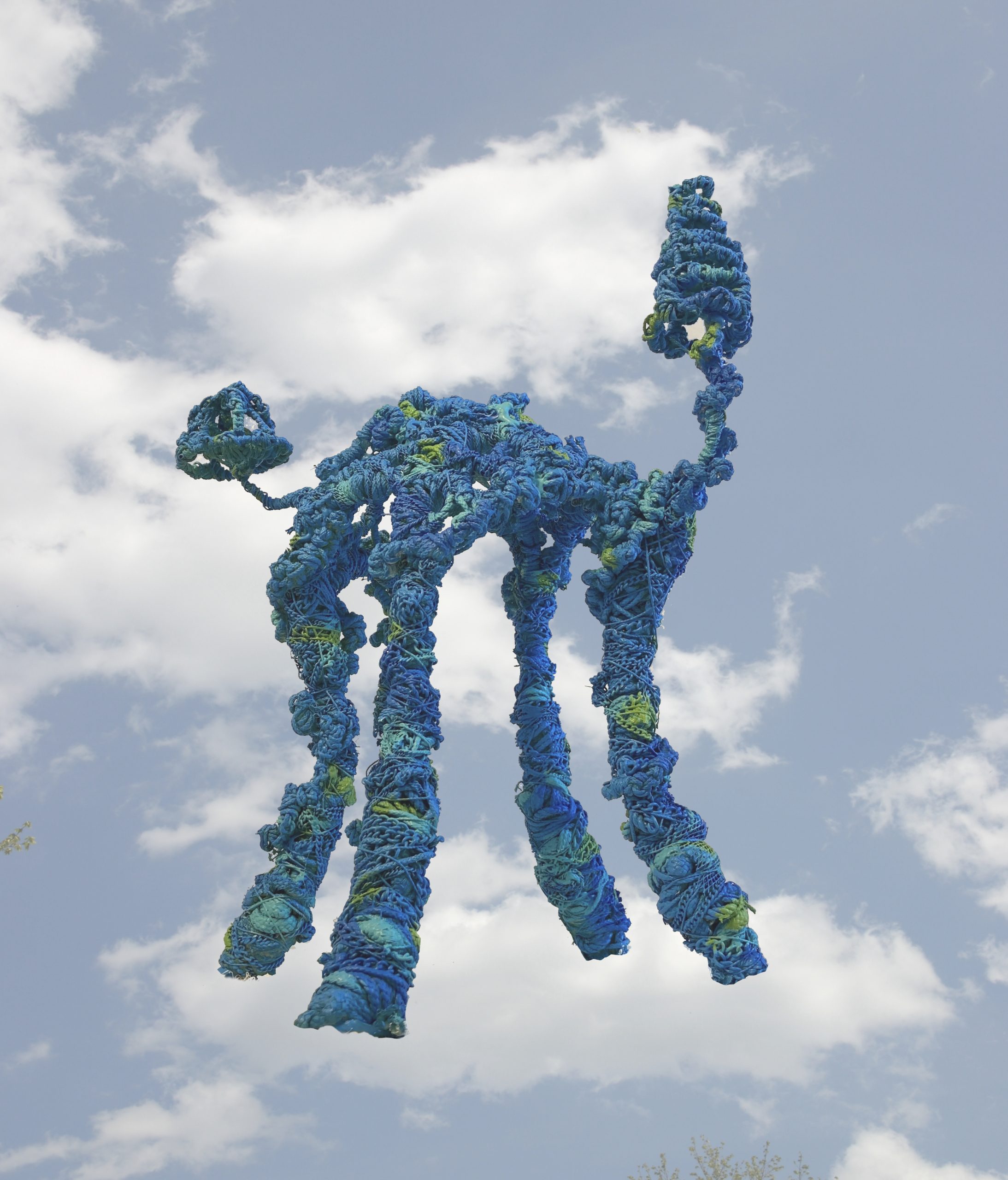 TANGLE: A new public work for the Portland Campus – Art Gallery