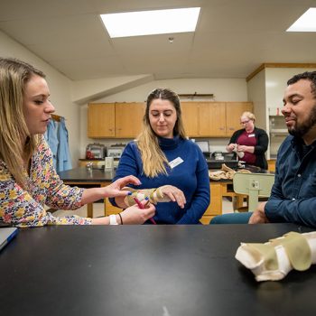Occupational Therapy