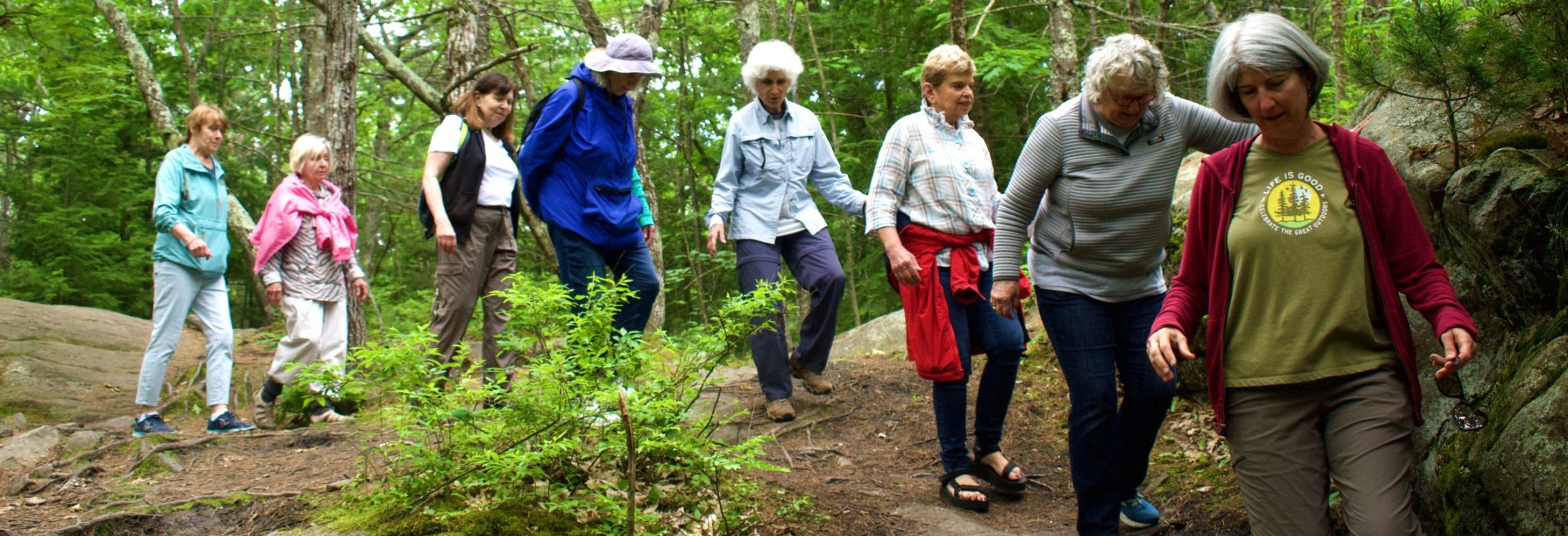 Special Interest Groups (SIGs) – Osher Lifelong Learning Institute