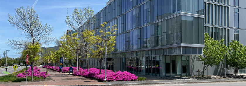 OLLI Faculty – Osher Lifelong Learning Institute